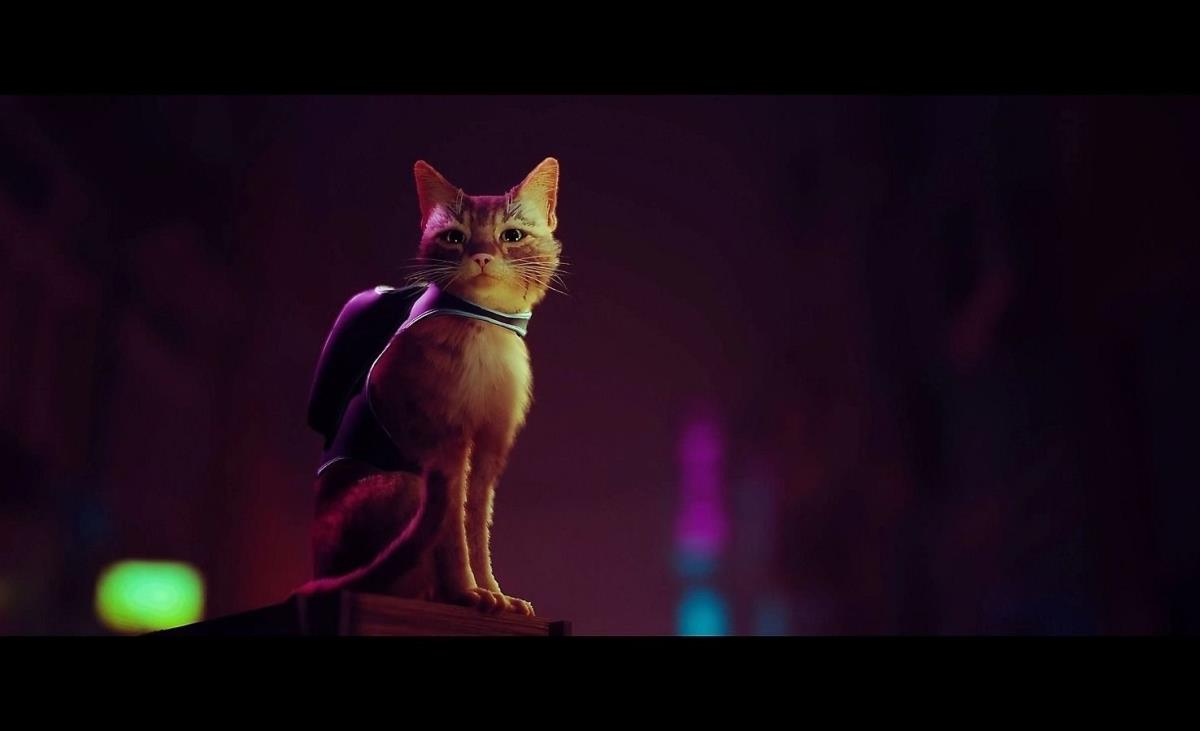 Stray: El famoso juego del gato llega a Xbox One y Xbox Series X/S ...