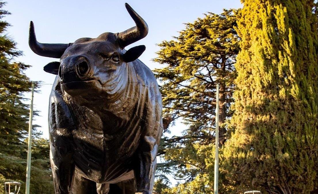 El Toro de Giol, ícono del trabajo, engalana la plaza principal de ...