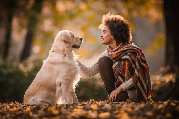 ¿Cuándo podremos hablar con los animales? La Inteligencia Artificial ya ...