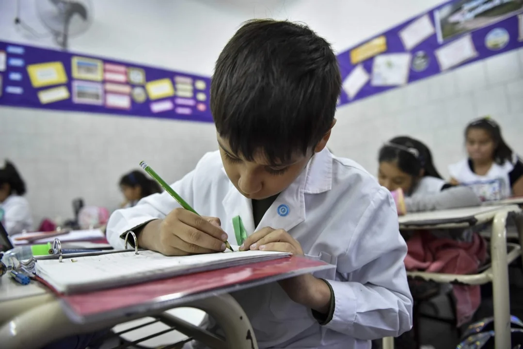 Lapidario: la educación en Argentina es "peor que en países más pobres ...