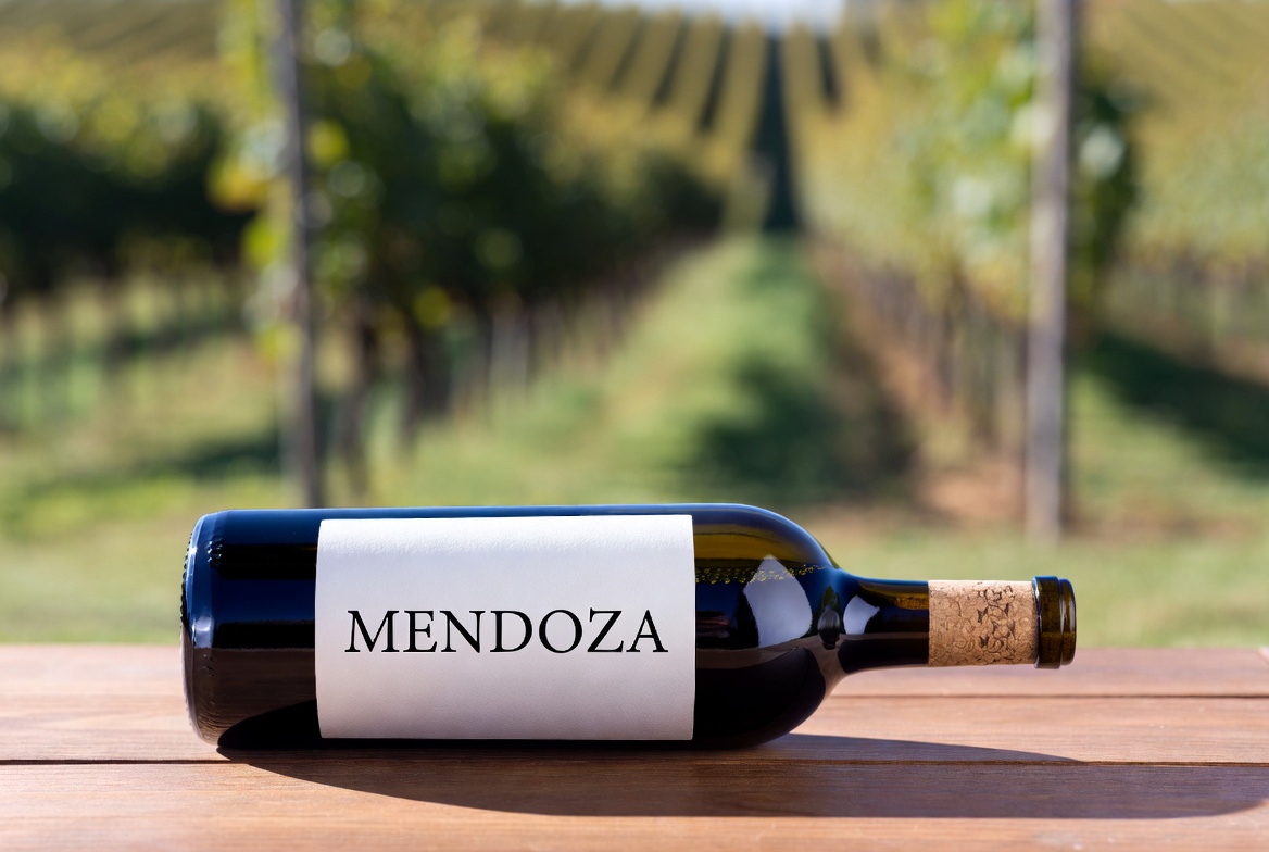 ProMendoza: Cómo exportar a Brasil desde Mendoza | Pymes 2025 ...